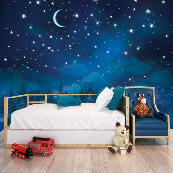 Night Winter Scene, Sky and Forest Background Wallpaper Boys Bedroom M ...